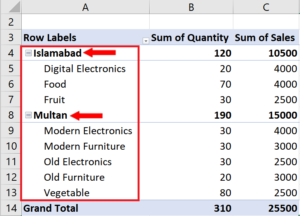 How To Collapse All Pivot Table Fields In Excel | SpreadCheaters