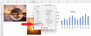 How To Select All Objects In Microsoft Excel | SpreadCheaters