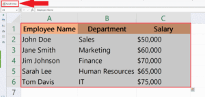 How To Autoformat In Microsoft Excel | SpreadCheaters