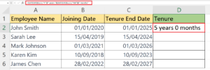 How To Calculate Tenure In Years And Months In Microsoft Excel ...