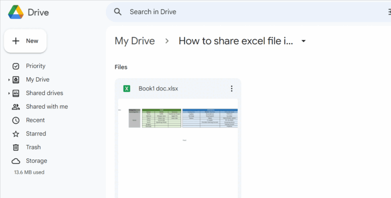 How To Share Excel Files In Google Drive | SpreadCheaters