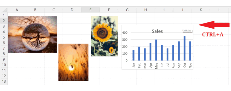 How To Select All Objects In Microsoft Excel | SpreadCheaters