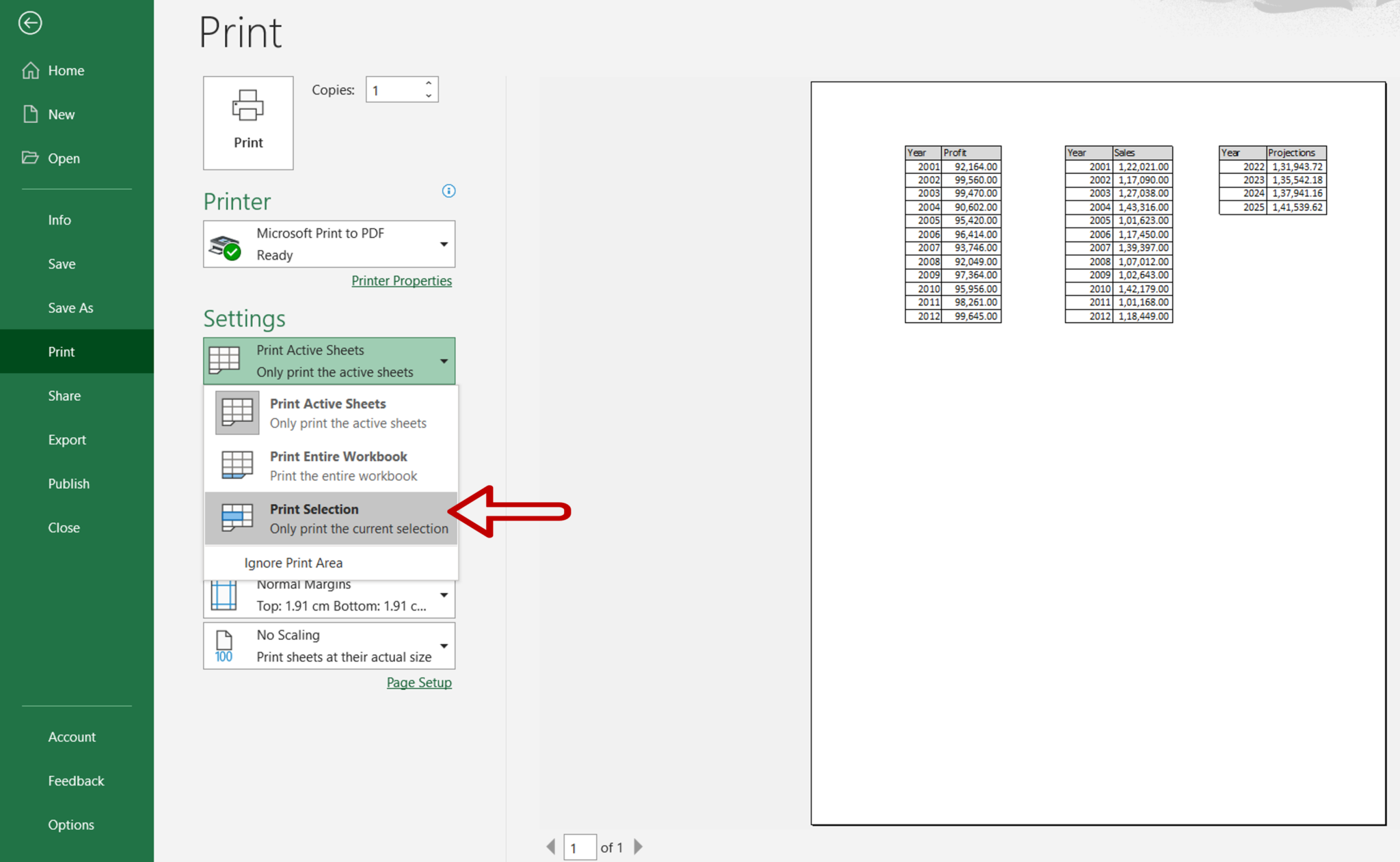 How To Print Certain Cells In Excel | SpreadCheaters