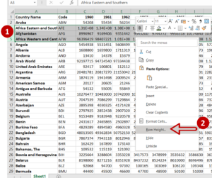 How To Expand Rows In Excel | SpreadCheaters