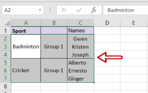 How To Split Rows In Excel | SpreadCheaters