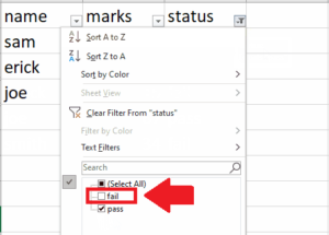 How To Hide Rows In Excel Based On Cell Value | SpreadCheaters