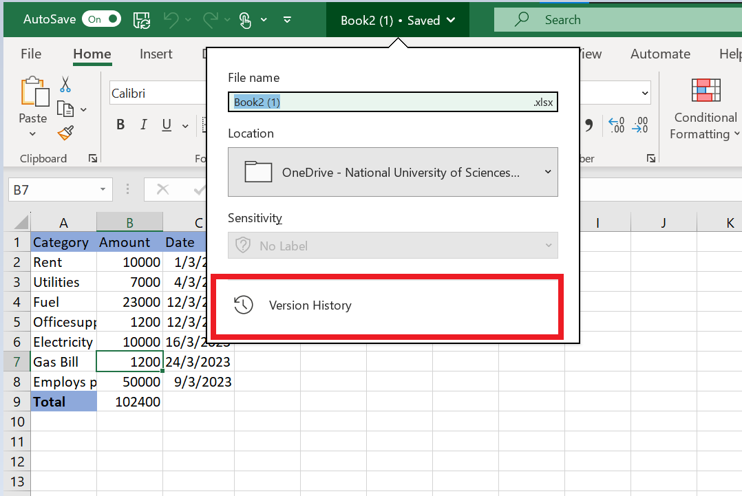 How To See Who Made Changes In Microsoft Excel | SpreadCheaters